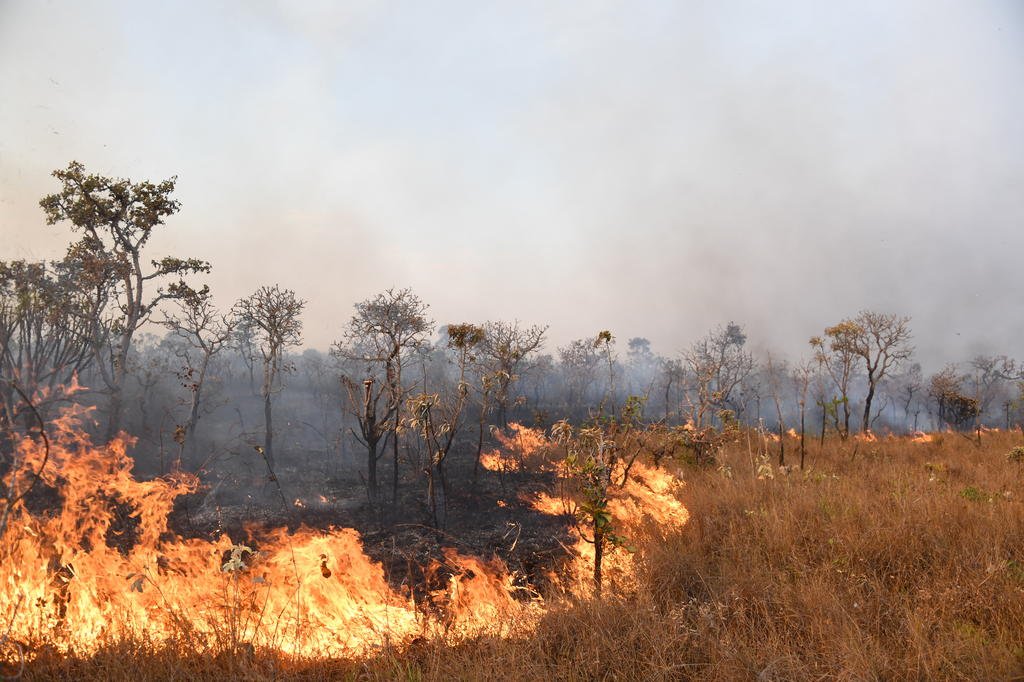 Setembro registra metade de todas as queimadas do Brasil no ano | GZH